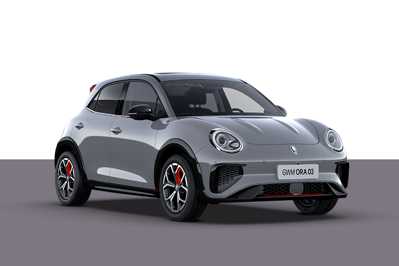 SUPER LEASING | GWM ORA DE